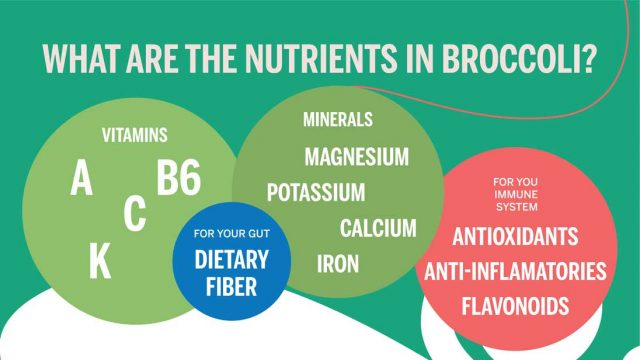 How to Cook Broccoli (And Retain The Nutrients!) - Chef Lola's Kitchen