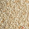 Sorghum - The Versatile Grain - Chef Lola's Kitchen
