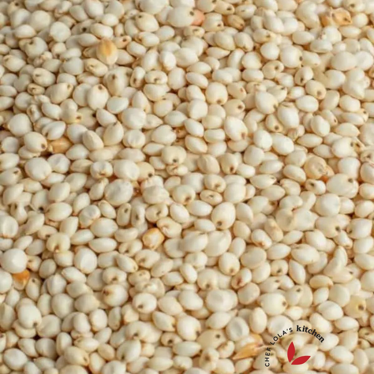 Sorghum - The Versatile Grain - Chef Lola's Kitchen